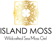 Sea Moss Gel Benefits - Island Moss